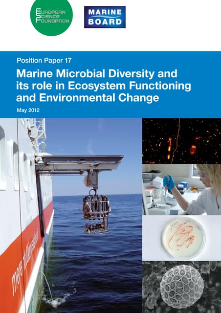 Applications of Nanotechnology in Marine Drug Research: An Overview | PDF