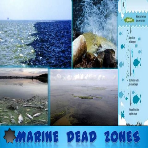 Marine dead zones | PPTX