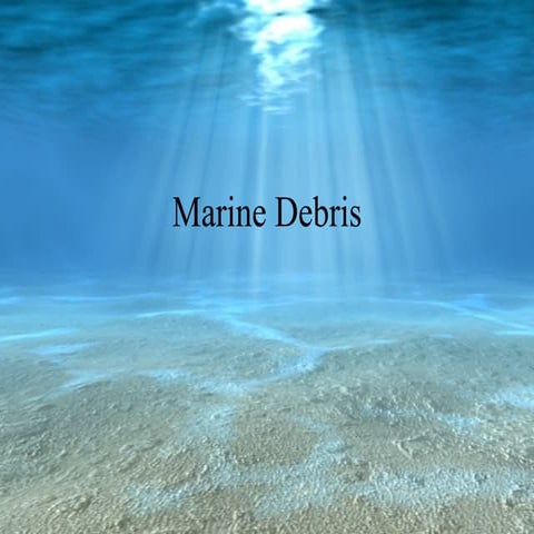 Marine Debris 1 | PPT