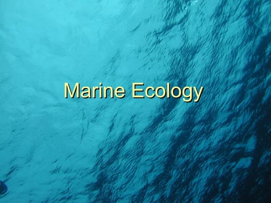 Ocean Zones And Marine Ecosystems Notes Ppt