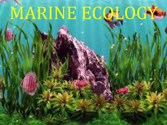 Ocean Zones And Marine Ecosystems Notes Ppt