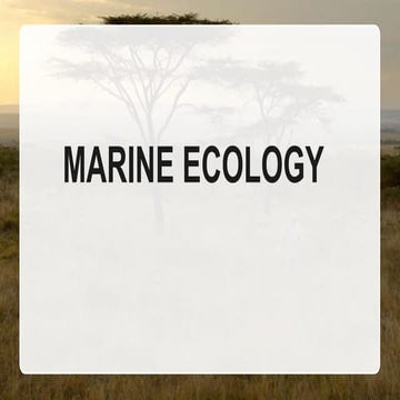 MARINE ECOLOGY.pptx TEACH KIDS OCEANS MARINE LIFE CLIMATE CHANGE | PPTX