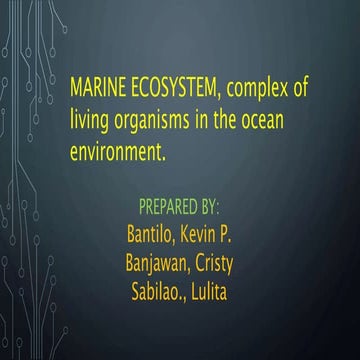 Marine ecosystem, complex of living organism in the ocean enviroment | PPT