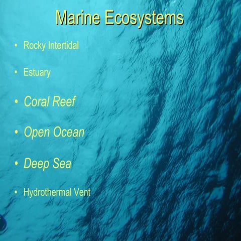 Marine Ecosystems | PPT | Geography | Science