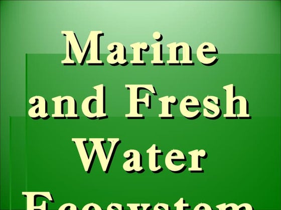 Marine Ecosystems | PPT | Geography | Science