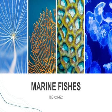 MARINE FISHES [Autosaved].pptx