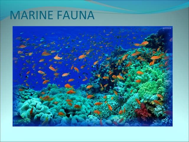 Benthos - types and their role in ecosystem | PPTX