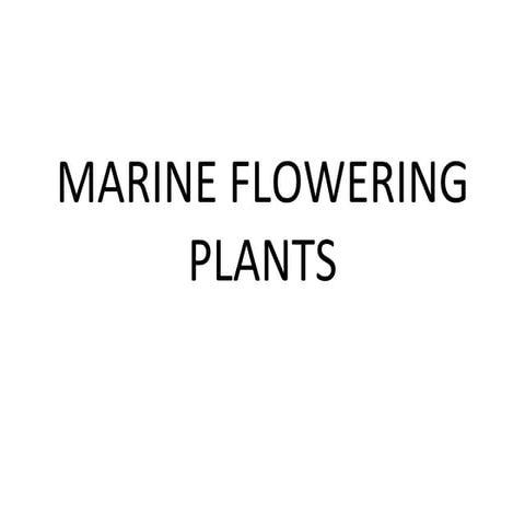 Marine flowering plants powerpoint | PPT