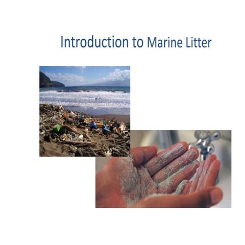 Marine litter and its impact on the world.pptx