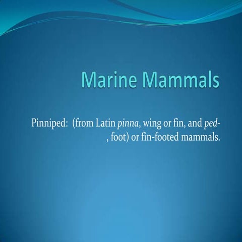 Marine mammals | PPSX