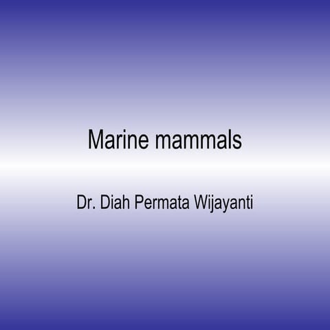 Marine mammals | PPT