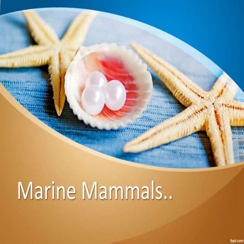Marine Mammals | PPTX