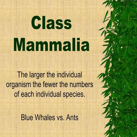 Marine Mammals.ppt
