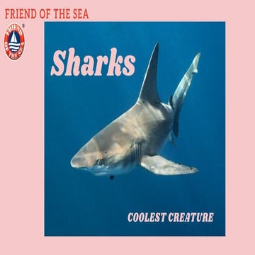 Sharks Endangered Species | PDF