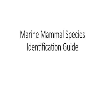 marine mammal species list. marine animals | PPT