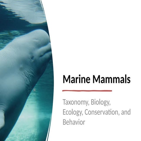 Marine_Mammals_Presentation-biology-conservation.pptx