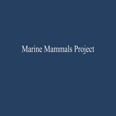 Marine Mammals Project | PPTX