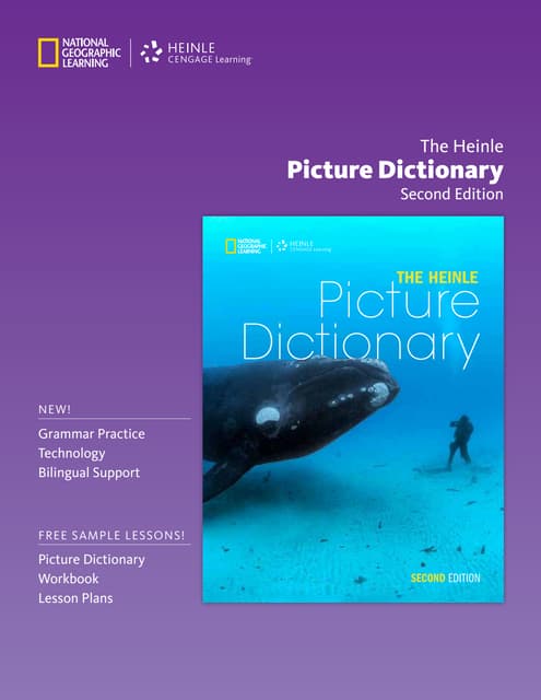 Basic vocabulary. 1 | PDF