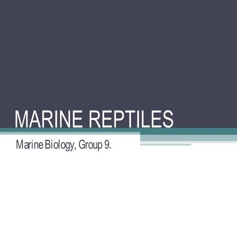 Marine Reptiles | PPT