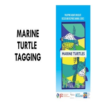 Marine Turtle Tagging based on Philippine Aquatic Wildlife Rescue and ...