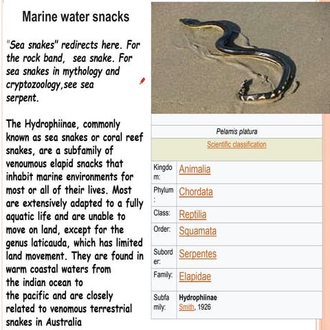 Marine water snakes | PPTX