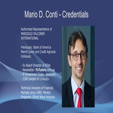 Mario Conti Investor Presentation February 2015 | PDF