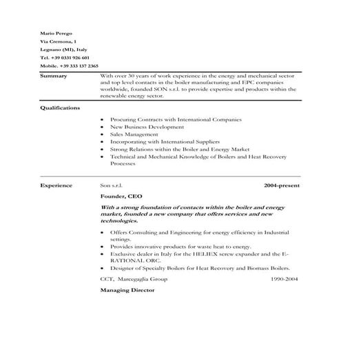 Mario perego cv | PDF | Business | Business and Finance