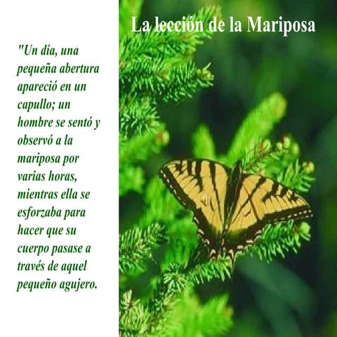 La leccion de la mariposa | PPT