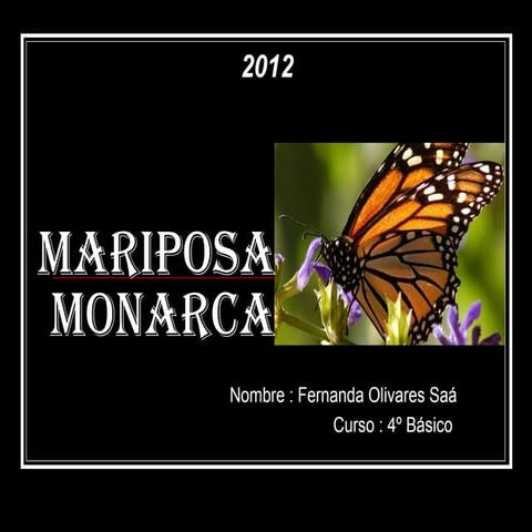 Mariposa | PPT
