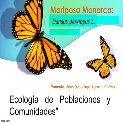 Mariposa monarca | PPT