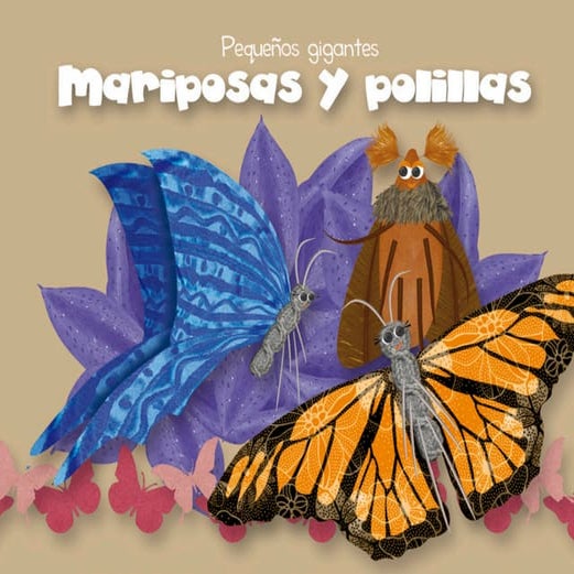 Especies de mariposas y colores del mundo | PDF