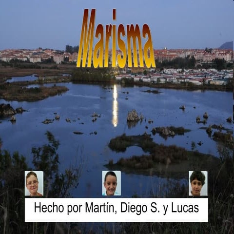 La marisma | PPT