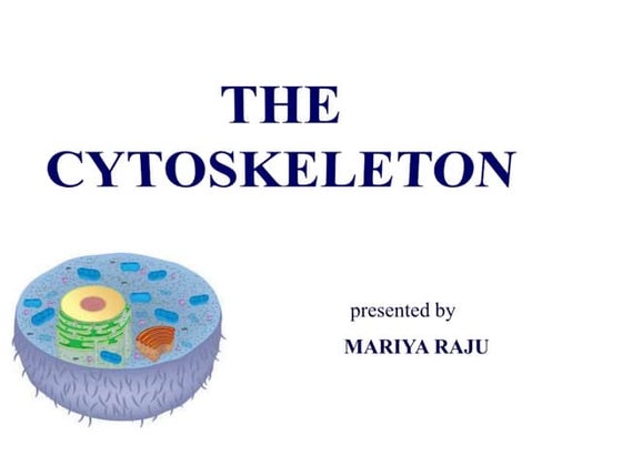 Cytoskeleton presentation (introduction structure & function) | PPT