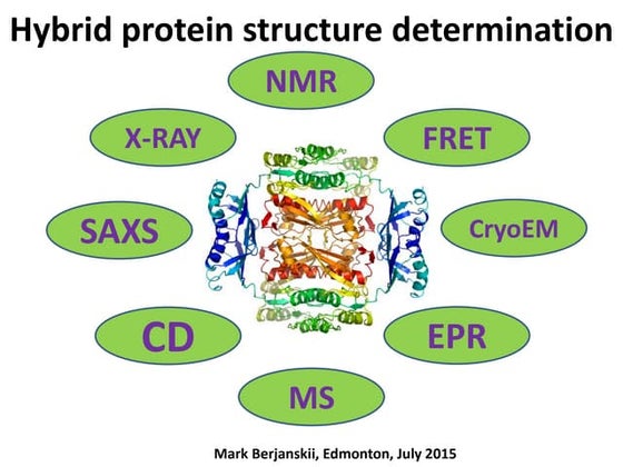 NMR of protein | PPTX | Chemistry | Science