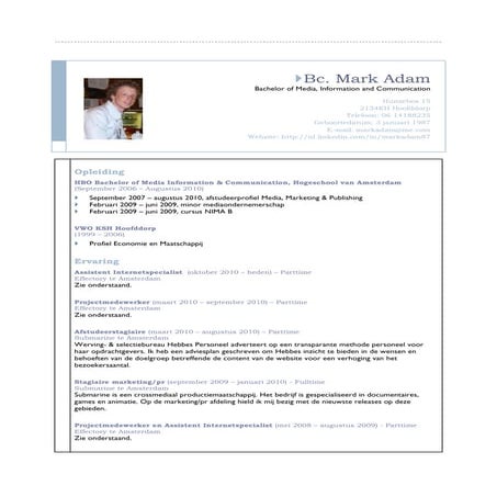 Mark Adam CV 2011 | PDF | Business | Business and Finance