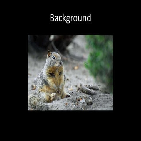 Mark composition | PPTX