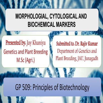 Morphological, Cytological and Biochemical Markers | PPTX