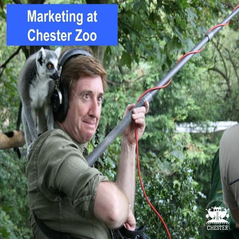 Marketing powerpoint Chester Zoo | PPT