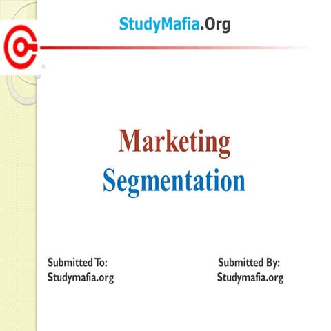 Marketing-Segmentation-ppt.pdf