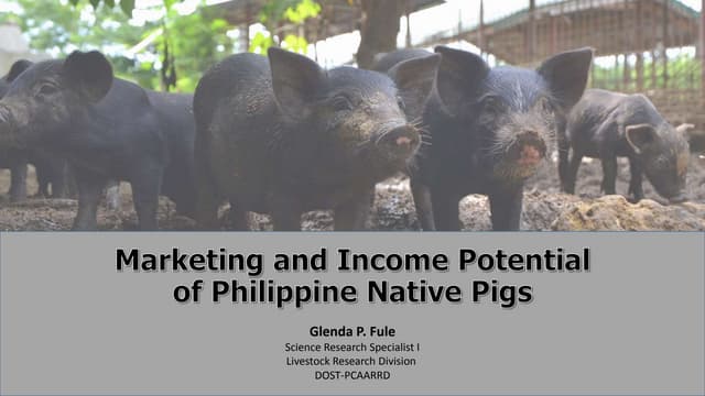 BROILER AND LAYER PRODUCTION - A tagalog presentation on broiler and ...