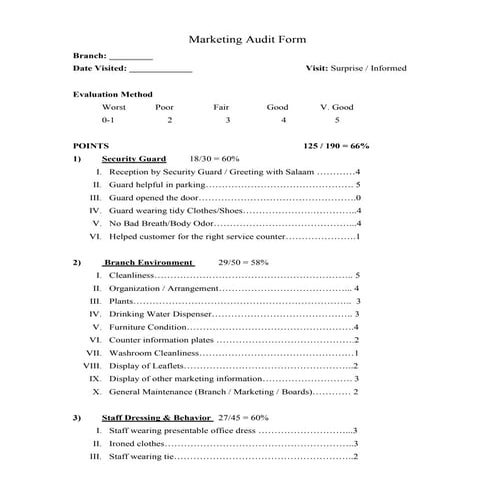 Marketing Audit Form - Specimen.doc