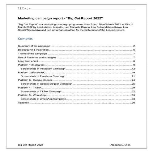 Marketing Campaign Report - Big Cat Report.pdf