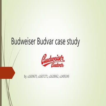 Organizational Analysis-Budweiser | DOCX