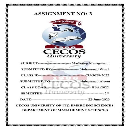 Marketing Management Assignment 3 Pdf