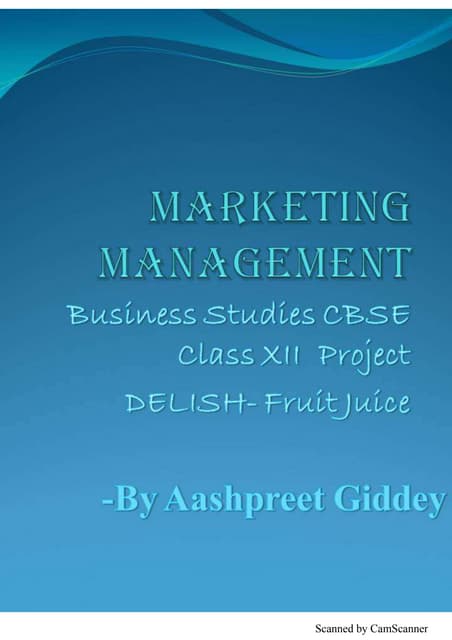 Business Studies Project Marketing Management Class 12 CBSE | PDF