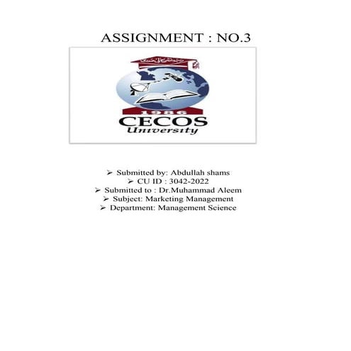 Marketing Assignment 3.pdf