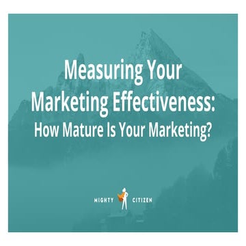Marketing Maturity.pdf