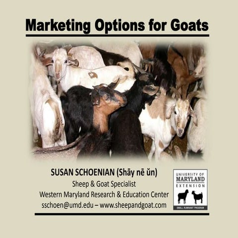 Goat Marketing Options | PPTX