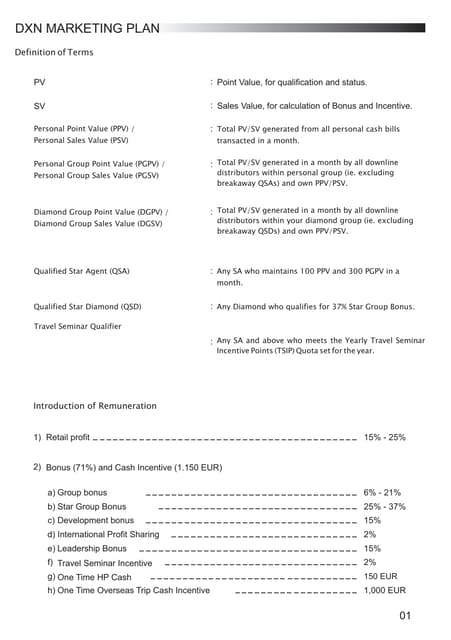 DXN Business Plan | PDF