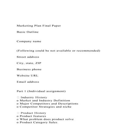 Marketing Plan Final Paper Basic Outline Company n.docx